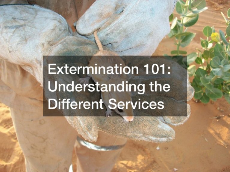 Extermination 101: Understanding the Different Services - Teng Home